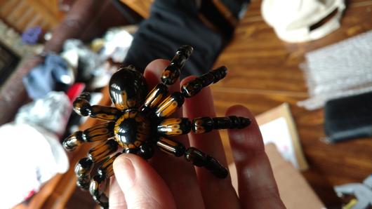 Tarantula - Delphi Artist Gallery