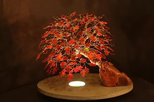 Bonsai Red Leaf Maple Tree - Delphi Artist Gallery