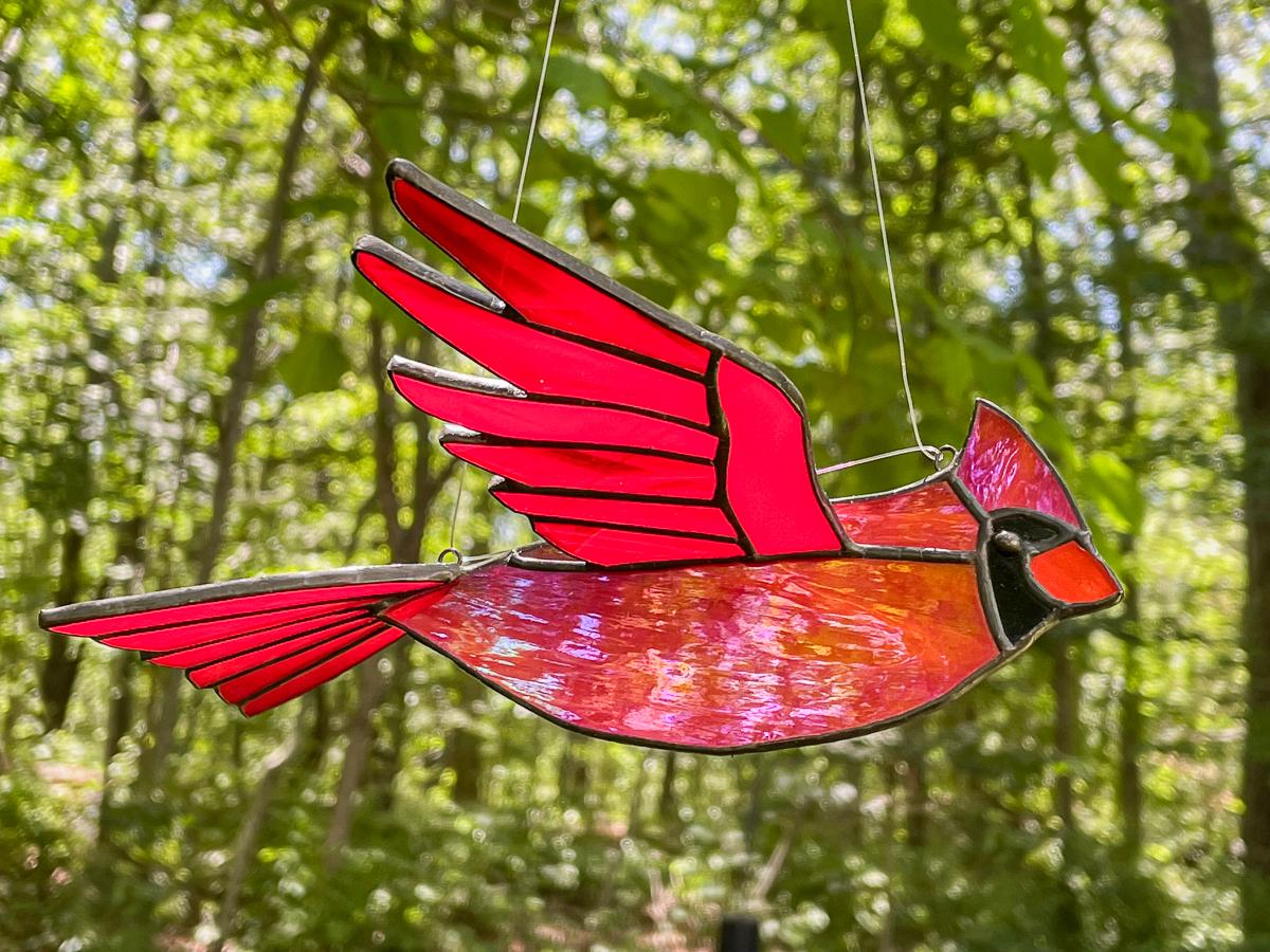 Cardinal - Delphi Artist Gallery